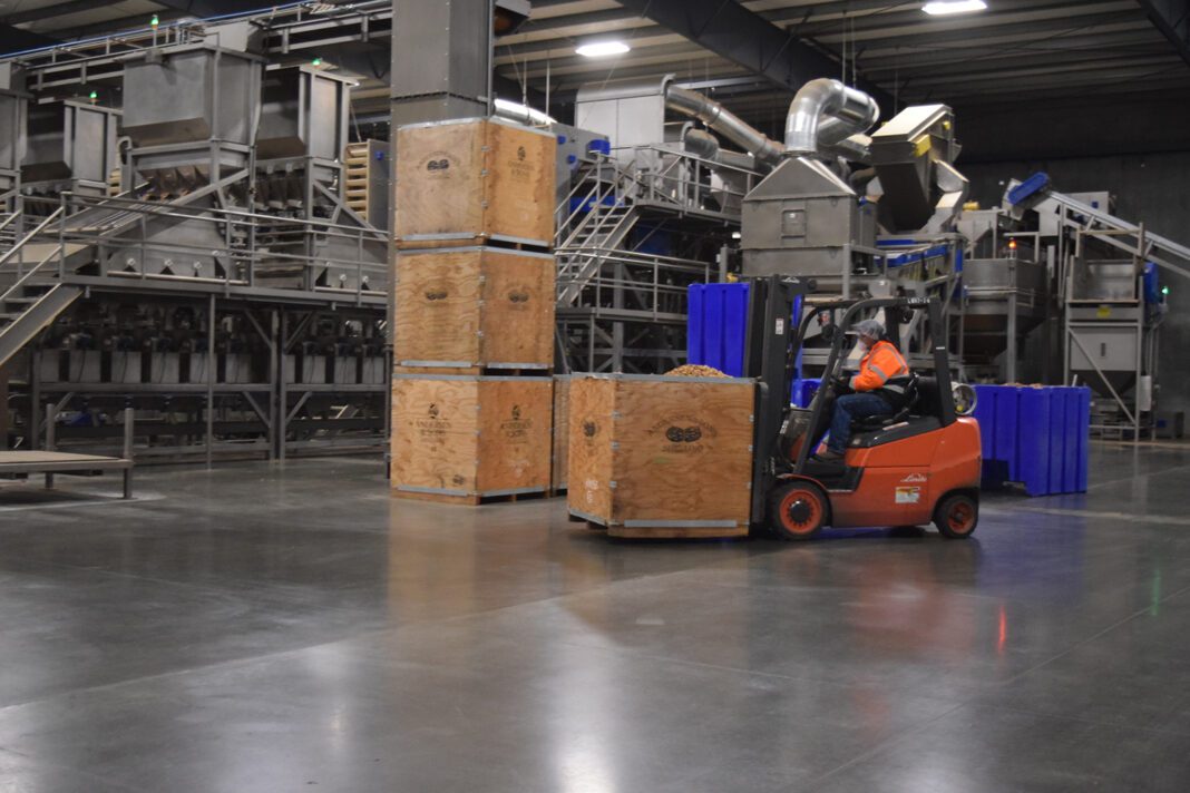 Almond Margins Face Stacked Pressures as Policy, Pests and Trade ...